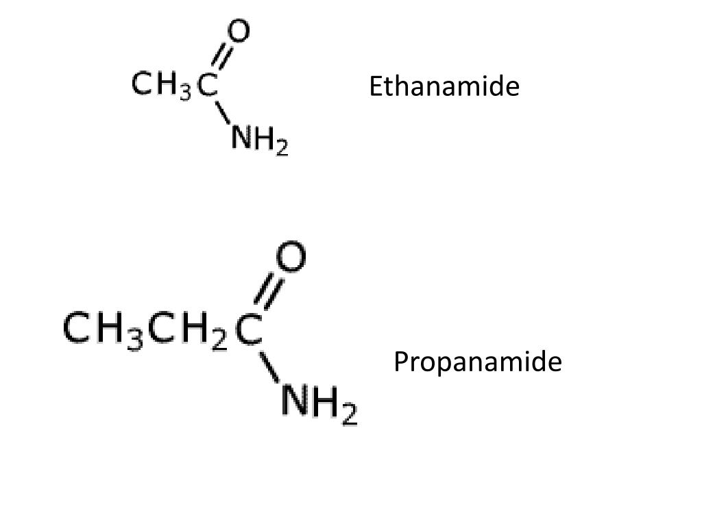 PPT - General Format : carbonyl group (>C=O) AND amino group ( NH 2 ...