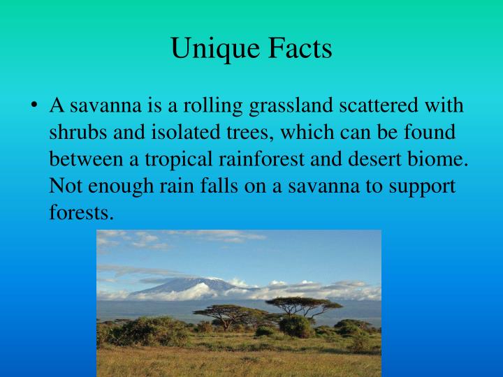 PPT - Savannas PowerPoint Presentation - ID:2371624
