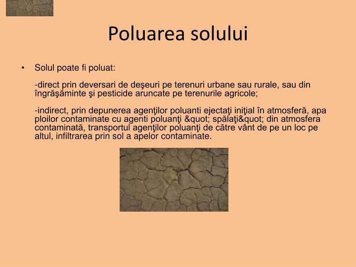 PPT - Proiect : poluarea PowerPoint Presentation - ID:2371867