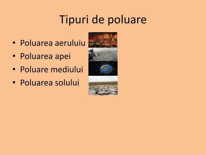 PPT - Proiect : poluarea PowerPoint Presentation - ID:2371867