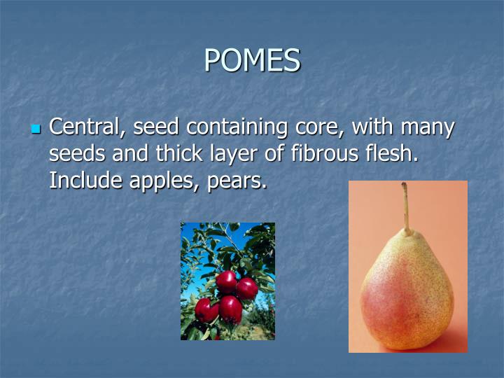 PPT - Fruits Categories and Classification PowerPoint Presentation - ID ...