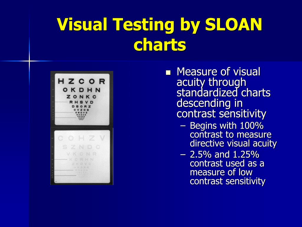 PPT - Rachel Tripoli Kelly Schwirian Dr. C.G. Maitland PowerPoint ...