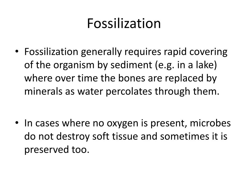 PPT - Chapter 3 What the rocks say: how geology and paleontology reveal ...