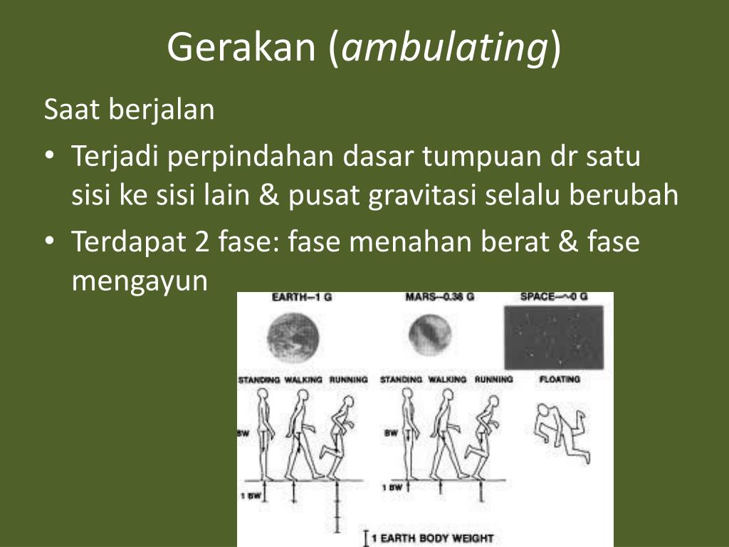 PPT - Mekanik Tubuh & Ambulasi PowerPoint Presentation, free download ...