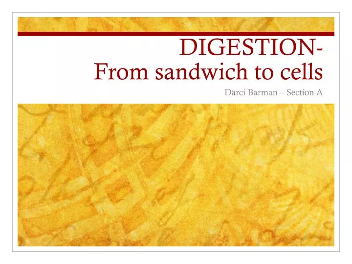 PPT - DIGESTION- From sandwich to cells PowerPoint Presentation, free ...