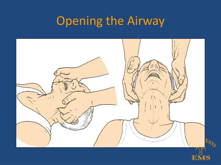 PPT - New Orleans EMS Airway Lecture Series: Lecture 2 Oxygenation and ...
