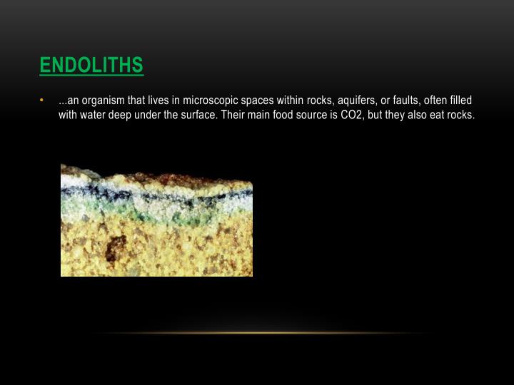 PPT - Extremophiles PowerPoint Presentation - ID:2372570