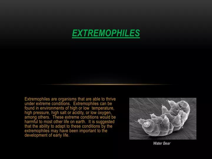 PPT - Extremophiles PowerPoint Presentation, free download - ID:2372570