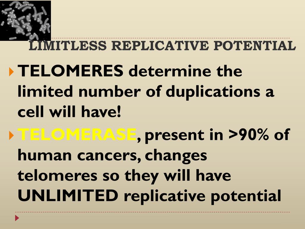 PPT - Tumor (really “GROWTH”) suppressor genes PowerPoint Presentation - ID:2372789