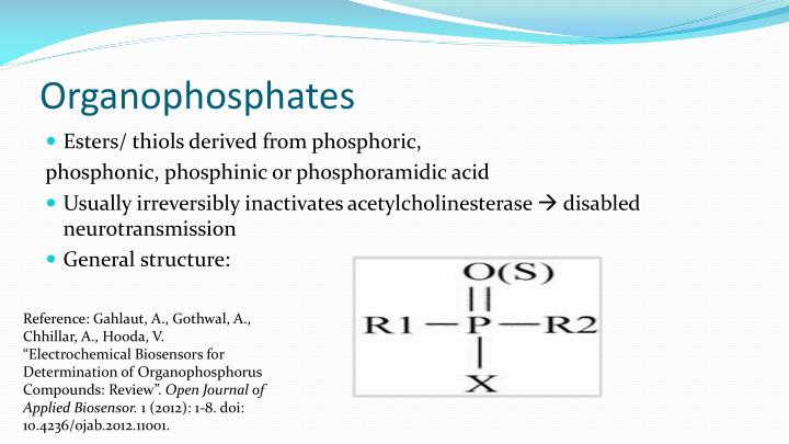 PPT - Acetylcholinesterase Inhibitors PowerPoint Presentation - ID:2373134