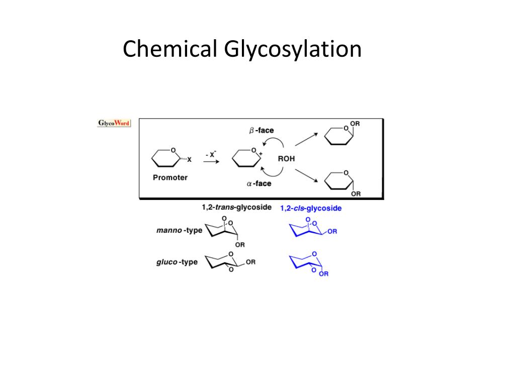 PPT - Chemical Glycosylation PowerPoint Presentation, free download ...