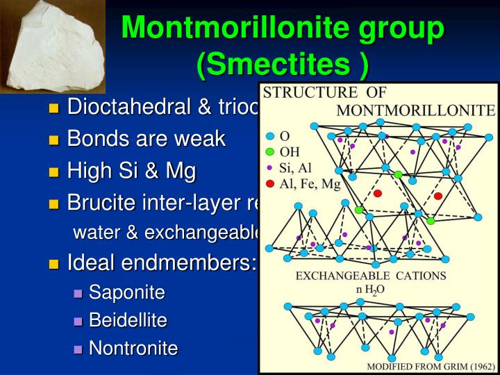 PPT - Chapter 27 The Phyllosilicates PowerPoint Presentation - ID:2373308