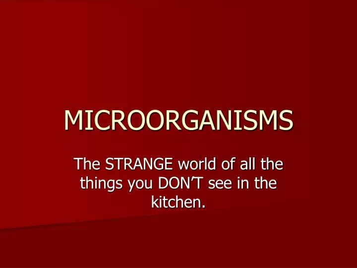 PPT - MICROORGANISMS PowerPoint Presentation, free download - ID:2373631