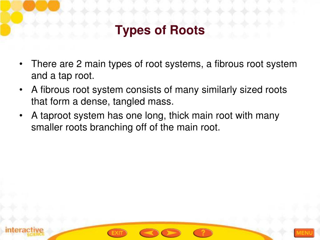 PPT - Table of Contents Plant Structures Plant Reproduction Animal ...