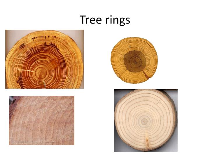 PPT - AIM: SWBAT describe the different layers in a cross section of a ...