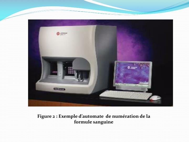 PPT - TP 3 ème Année Pharmacie Identification des cellules sanguines ...