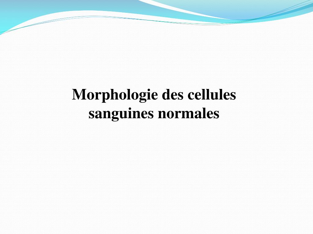 PPT - TP 3 ème Année Pharmacie Identification des cellules sanguines ...