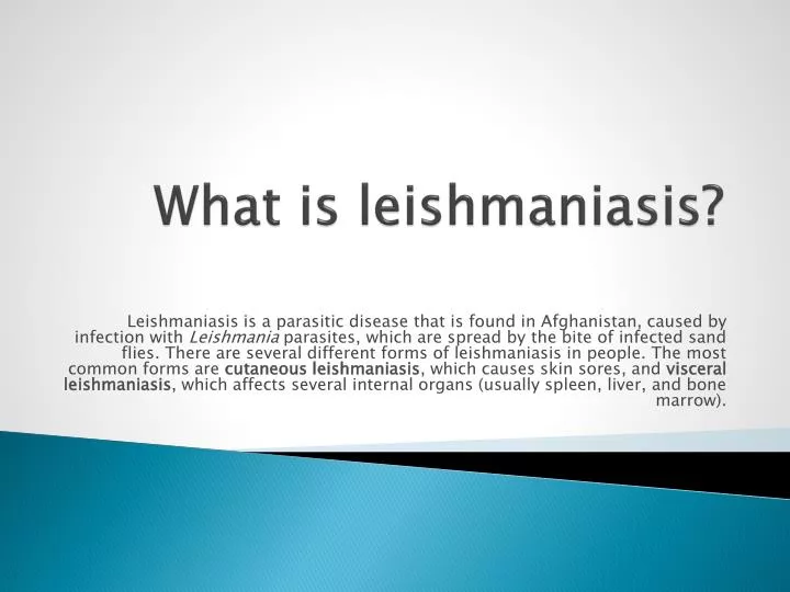 PPT - What is leishmaniasis ? PowerPoint Presentation, free download - ID:2374769