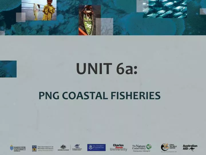 PPT - UNIT 6a: PowerPoint Presentation, free download - ID:2374823