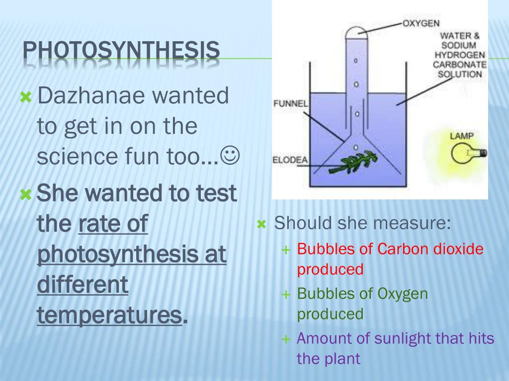 PPT - Photsynthesis , plant growth and reproduction review PowerPoint ...