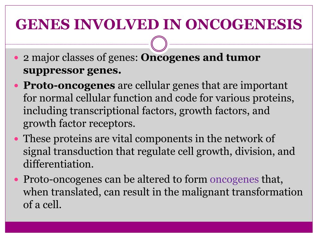 PPT - Molecular and Cellular Biology of Cancer PowerPoint Presentation ...