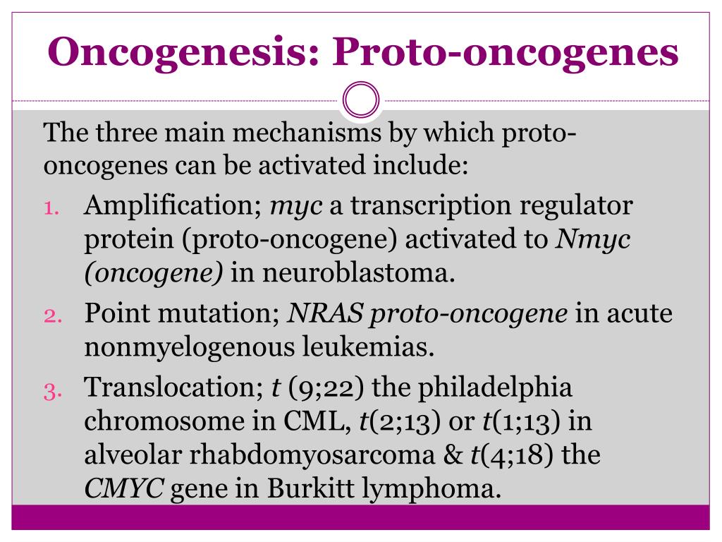 PPT - Molecular and Cellular Biology of Cancer PowerPoint Presentation ...