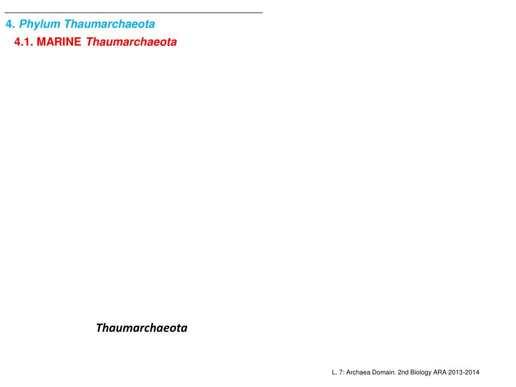 PPT - 1. Diversity and Phylogeny of Archaea 2. Phylum Euryarchaeota 3 ...