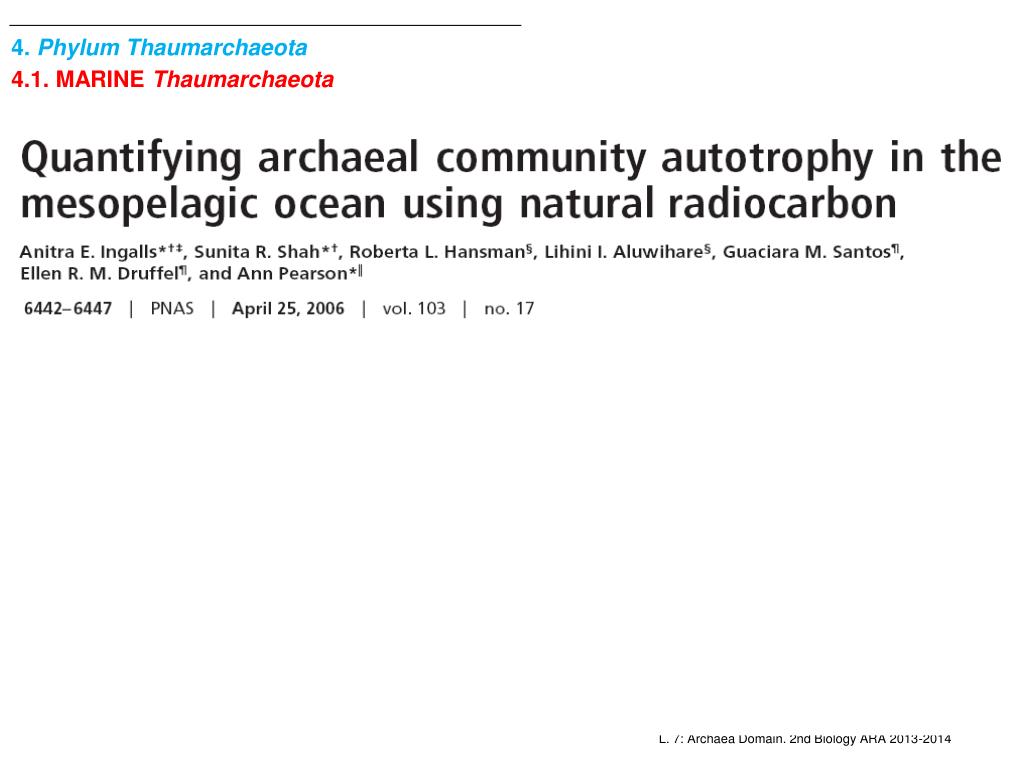 PPT - 1. Diversity and Phylogeny of Archaea 2. Phylum Euryarchaeota 3 ...