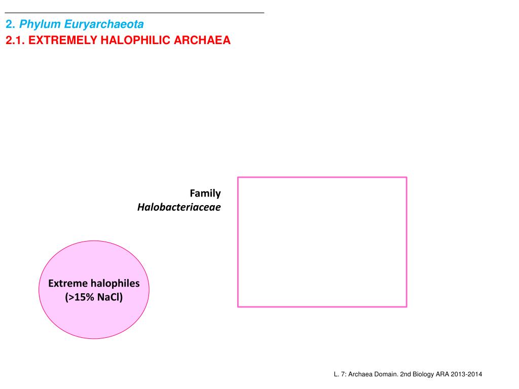 PPT - 1. Diversity and Phylogeny of Archaea 2. Phylum Euryarchaeota 3 ...