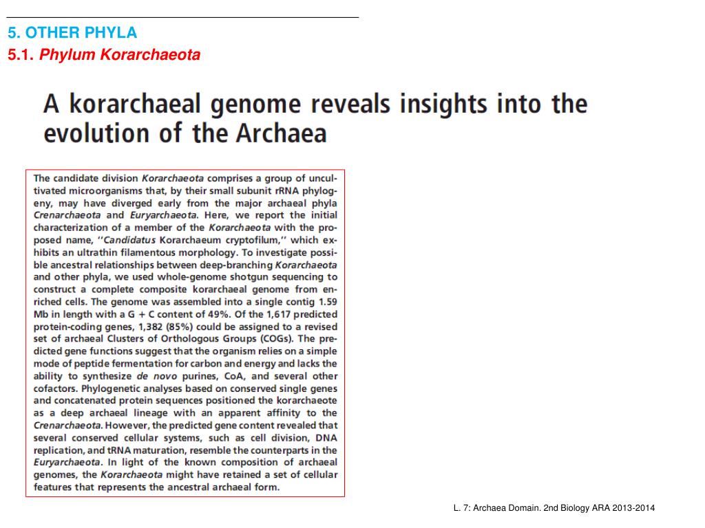 PPT - 1. Diversity and Phylogeny of Archaea 2. Phylum Euryarchaeota 3 ...