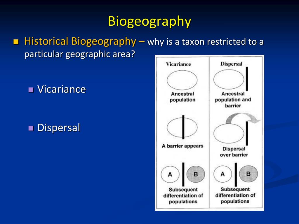 PPT - Biogeography, Conservation, and Genetics Biology of Fishes 11.13. ...