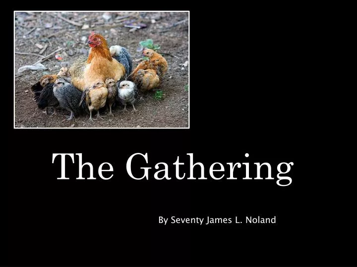 PPT - The Gathering PowerPoint Presentation, free download - ID:2376921