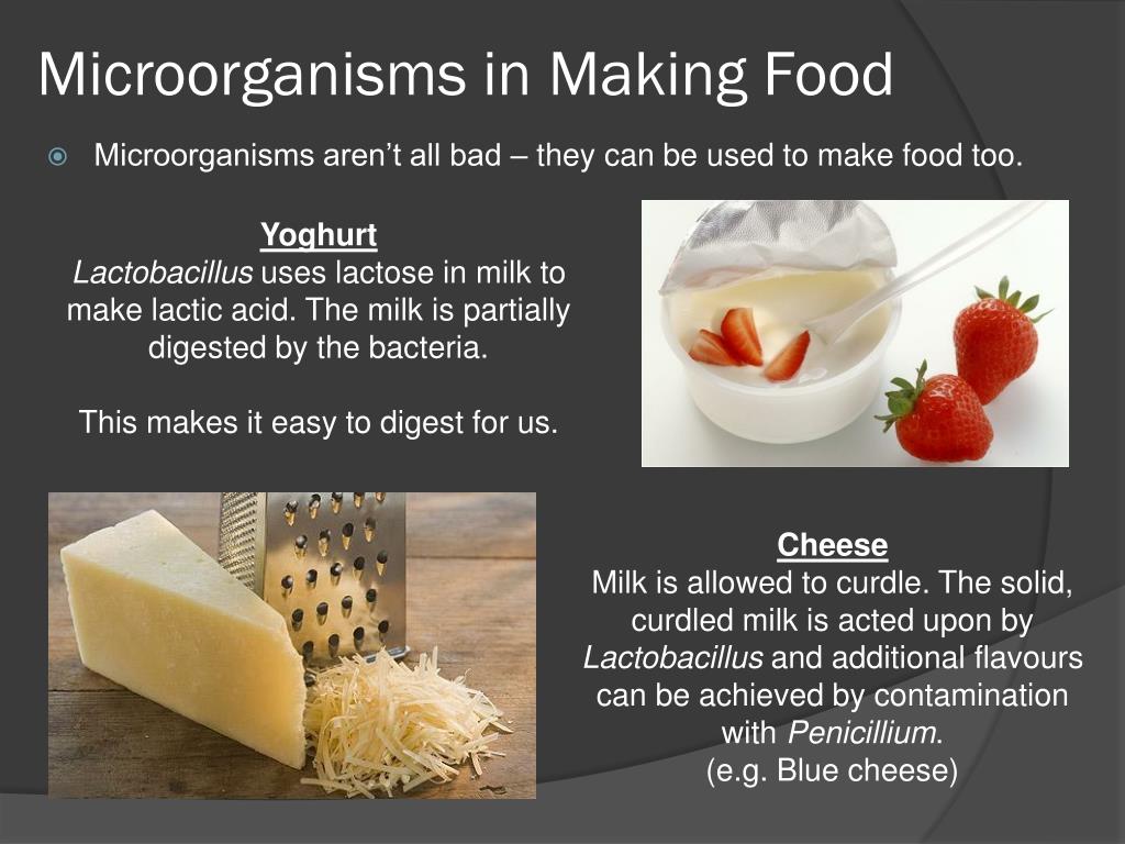 PPT - Lesson 3 Microorganisms & Food PowerPoint Presentation, free ... PPT - Lesson 3 Microorganisms & Food PowerPoint Presentation, free ...