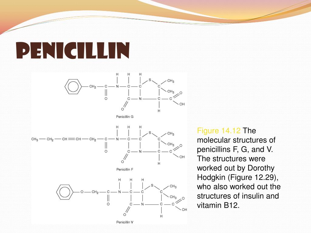 PPT - From Organic Molecules to Medicines PowerPoint Presentation, free ...