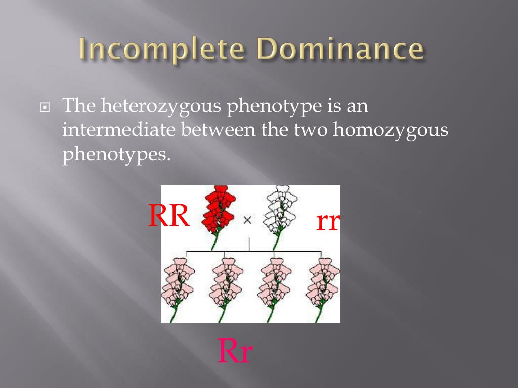 PPT - Analyze the pedigree: Two parents do not have a genetic disorder ...
