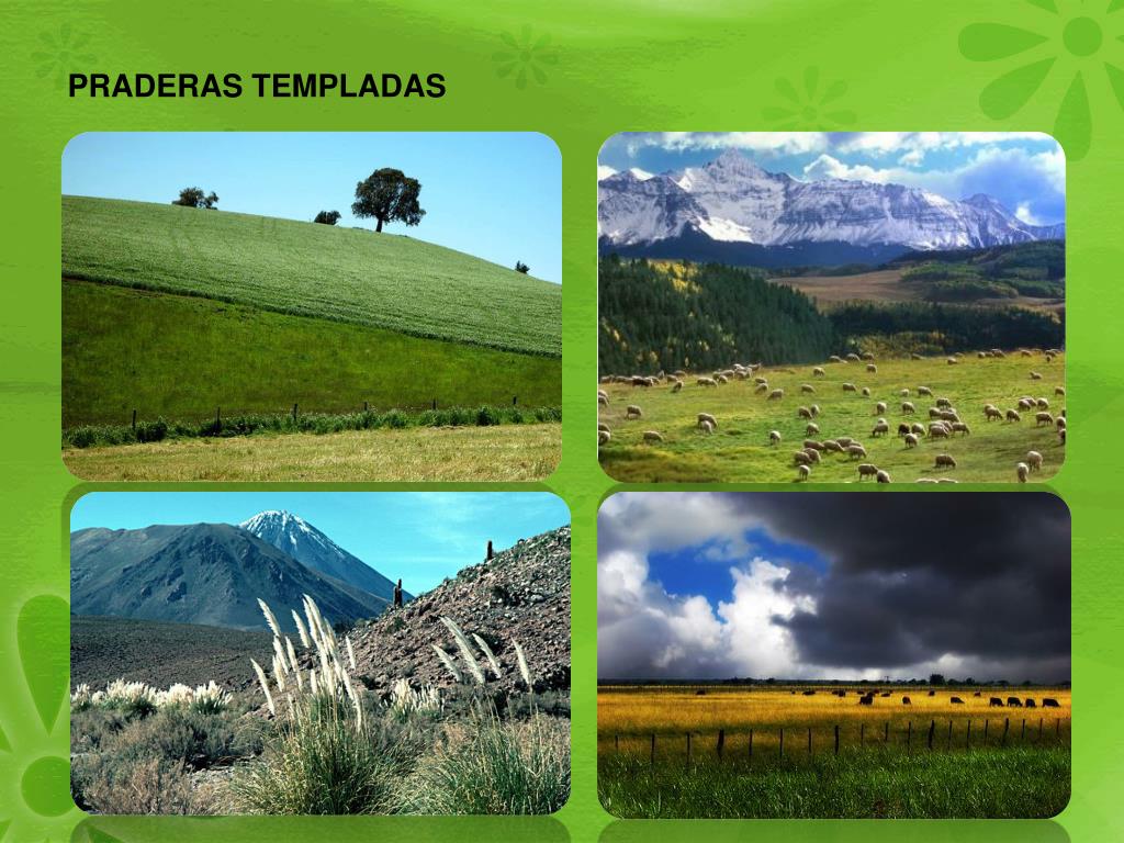 PPT - III Unidad: Ecosistemas y Recursos naturales “Los Biomas ...