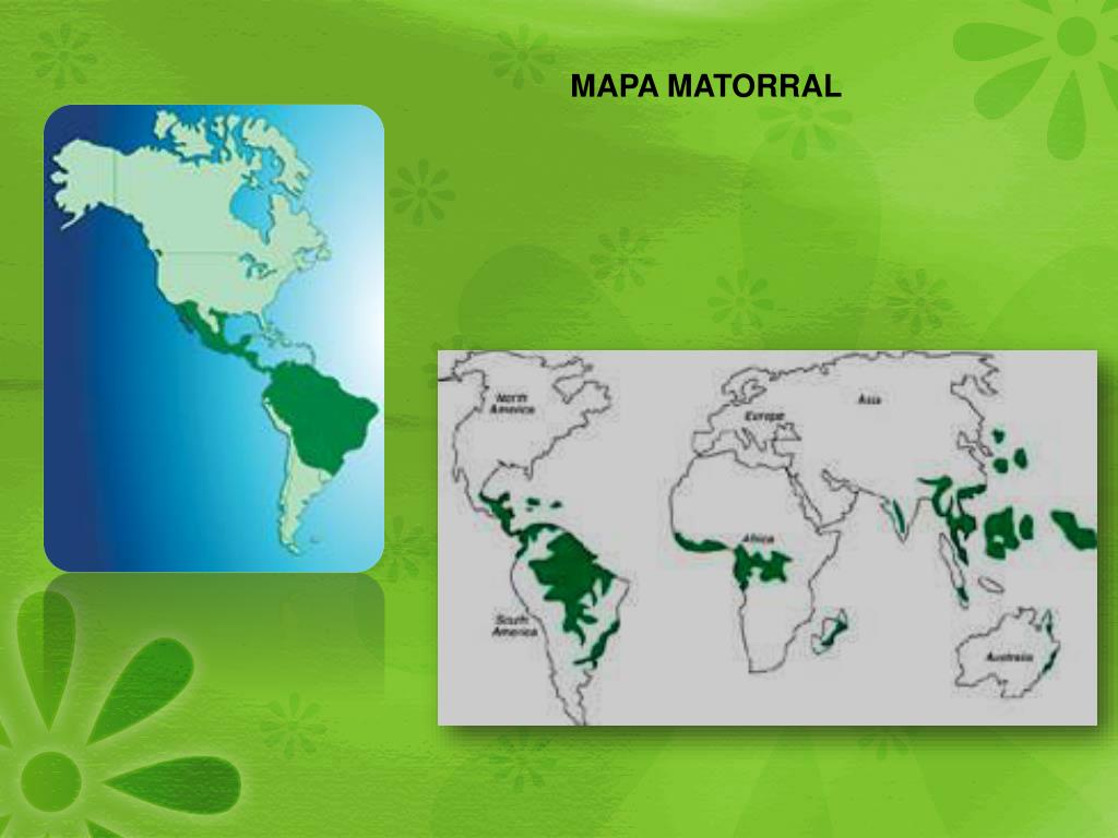 PPT - III Unidad: Ecosistemas y Recursos naturales “Los Biomas ...