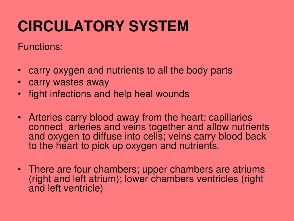 PPT - HUMAN BODY SYSTEMS Mrs. McWilliams 7 th and 8 th Grade PowerPoint ...