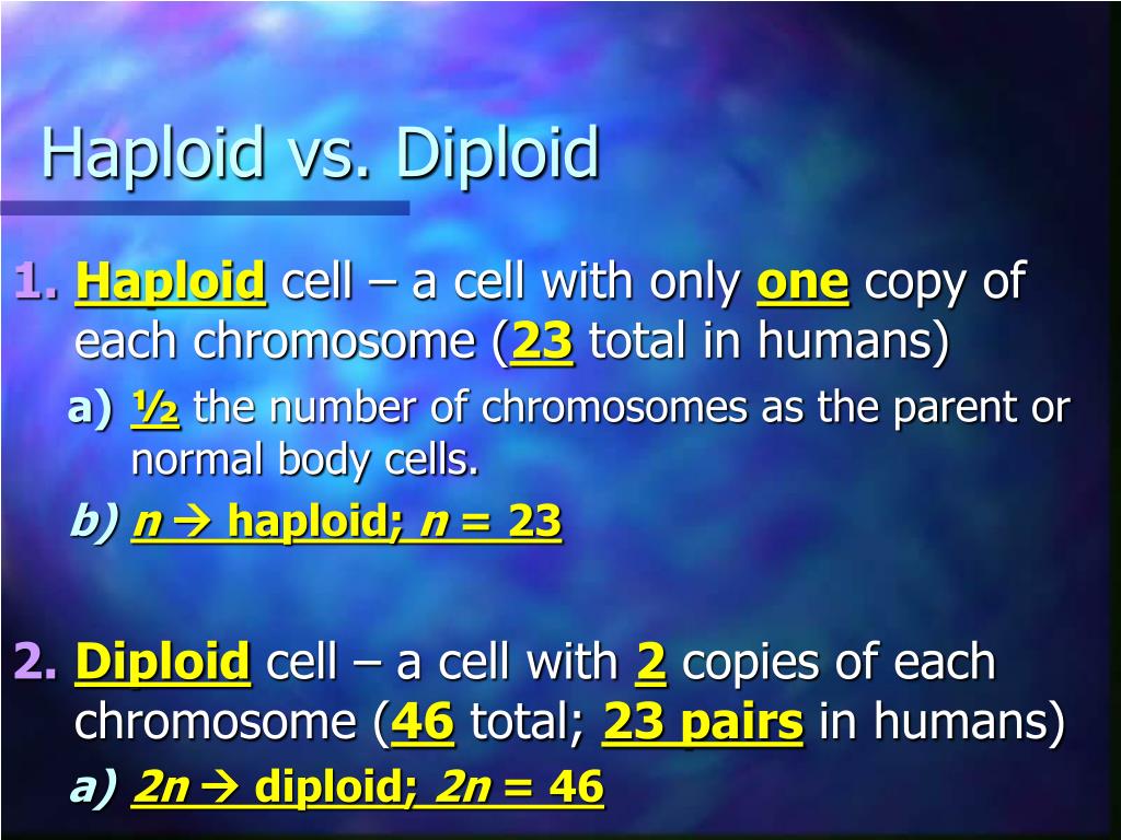 PPT - 10.2 – Meiosis Sexual Reproduction PowerPoint Presentation, free ...