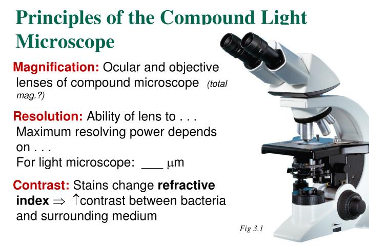 PPT - Ch 3: Observing Microorganisms Through a Microscope PowerPoint ...
