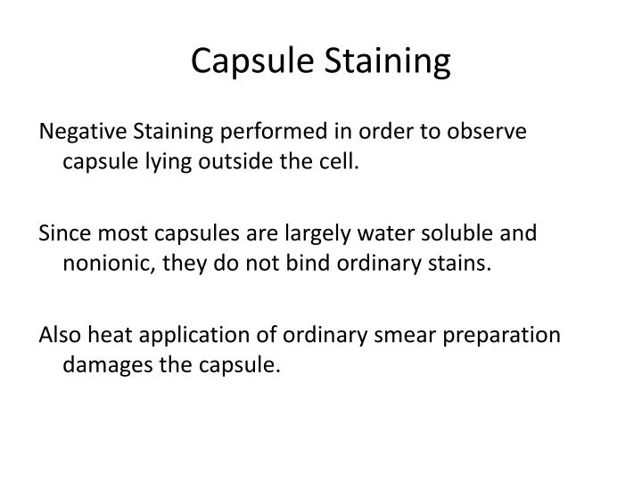 PPT - Differential Staining Techniques PowerPoint Presentation - ID:2378180