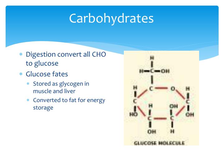PPT - Carbohydrates (CHO), Protein, Fats PowerPoint Presentation - ID ...