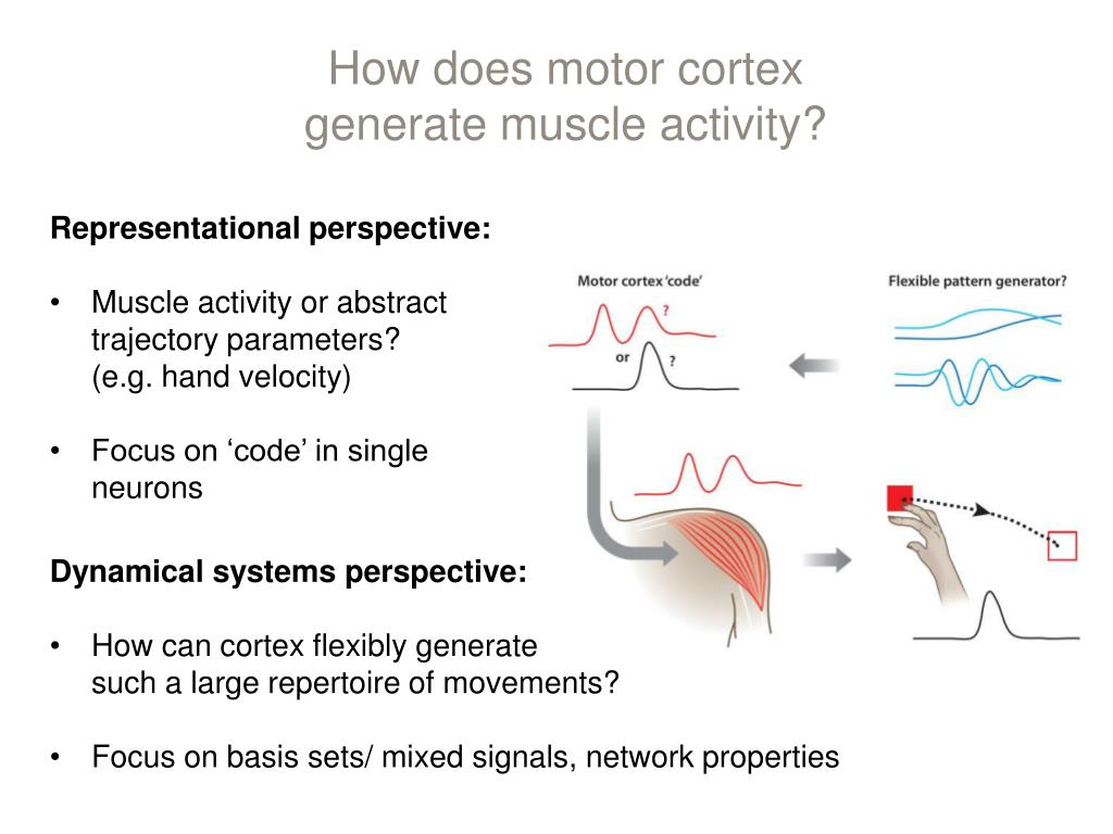 PPT - Alex Cayco Gajic Journal Club 10/29/13 PowerPoint Presentation ...