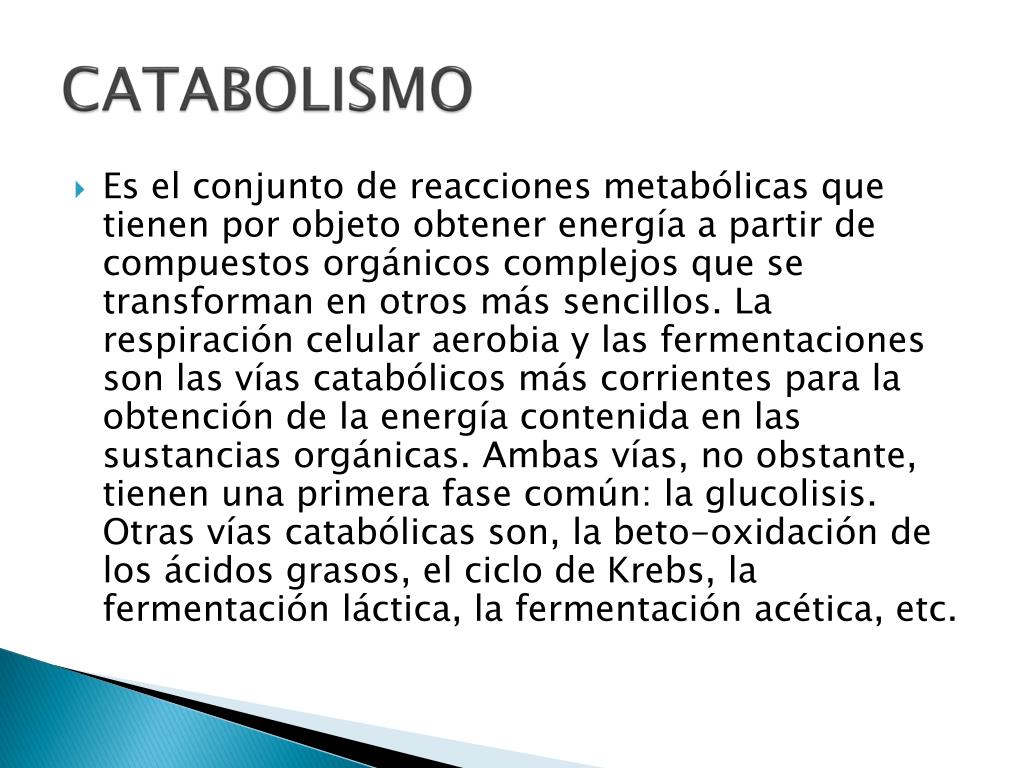 PPT - Catabolismo y anabolismo PowerPoint Presentation, free download ...