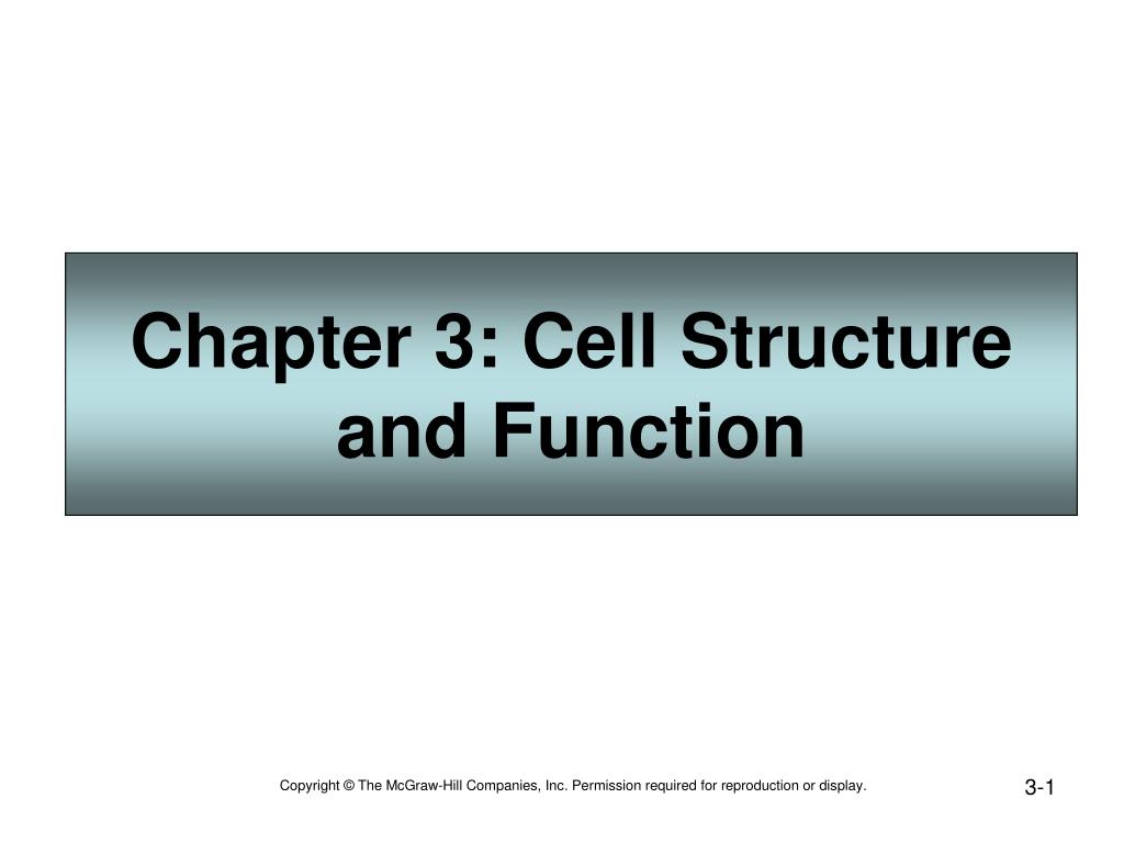 Ppt Chapter 3 Cell Structure And Function Powerpoint Presentation