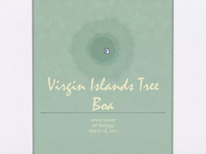 PPT - Virgin Islands Tree Boa PowerPoint Presentation, free download ...