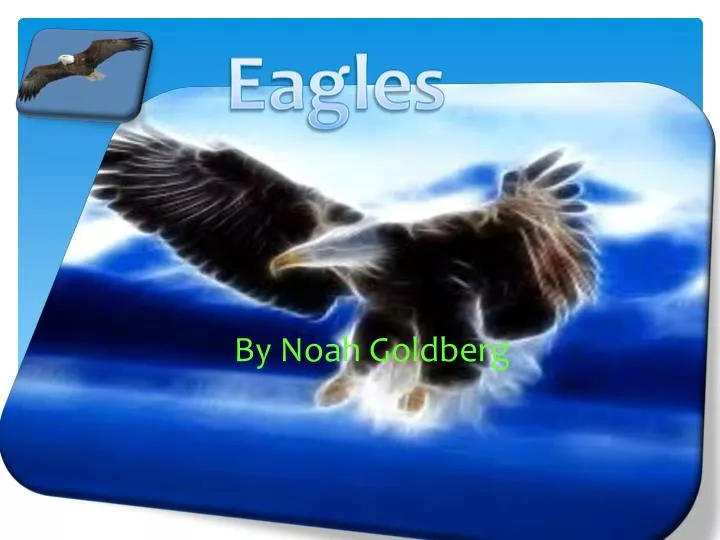 PPT - Eagles PowerPoint Presentation, free download - ID:2378926