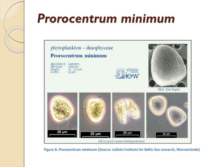 PPT - Ecological Modeling Working Group PowerPoint Presentation - ID ...