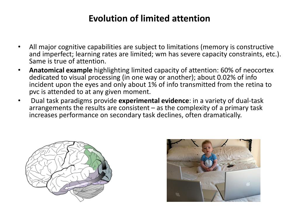 PPT - Understanding the Evolutionary Biology of Limited Attention in ...