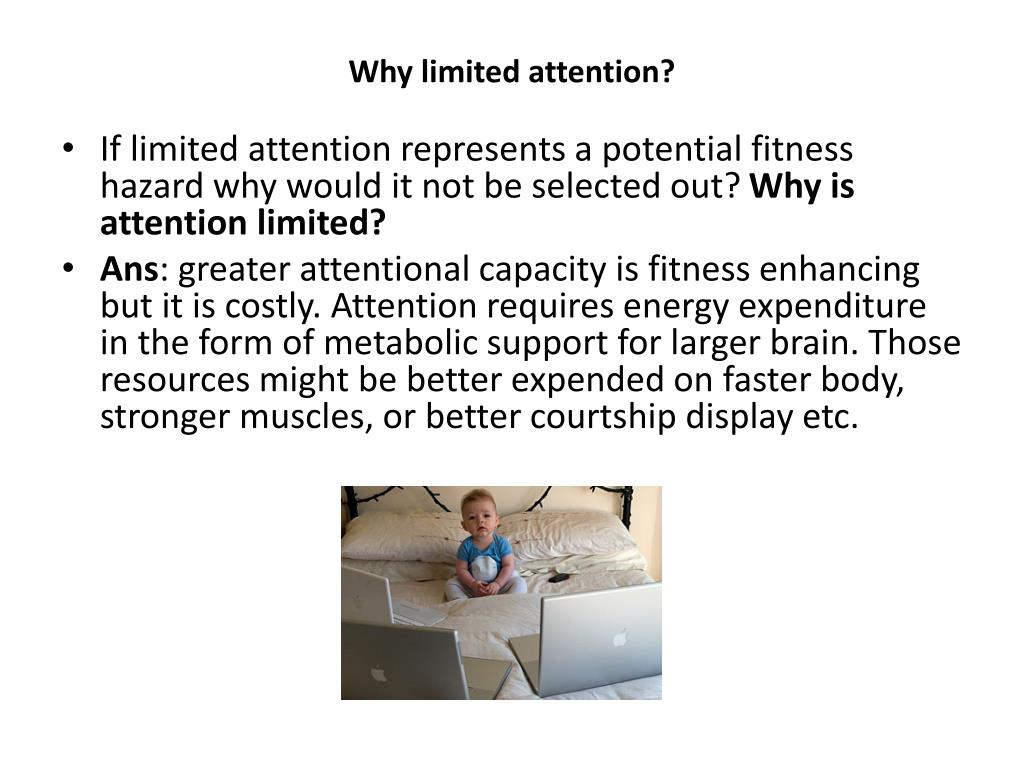 PPT - Understanding the Evolutionary Biology of Limited Attention in ...